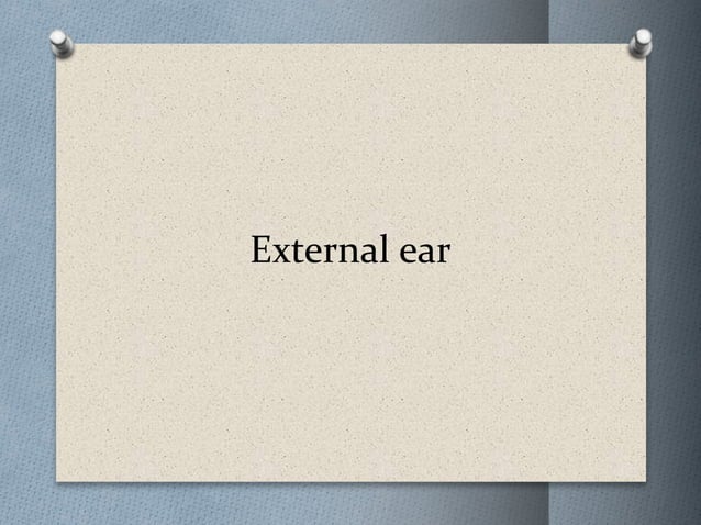 Ear & Auditory pathway | PPTX