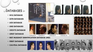 Ear biometrics | PDF