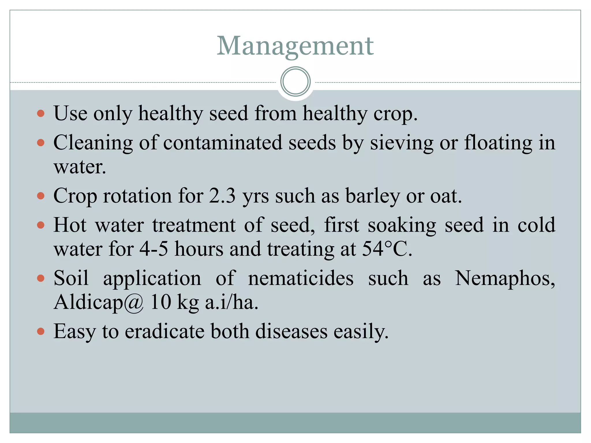 Ear cockle of wheat | PPTX