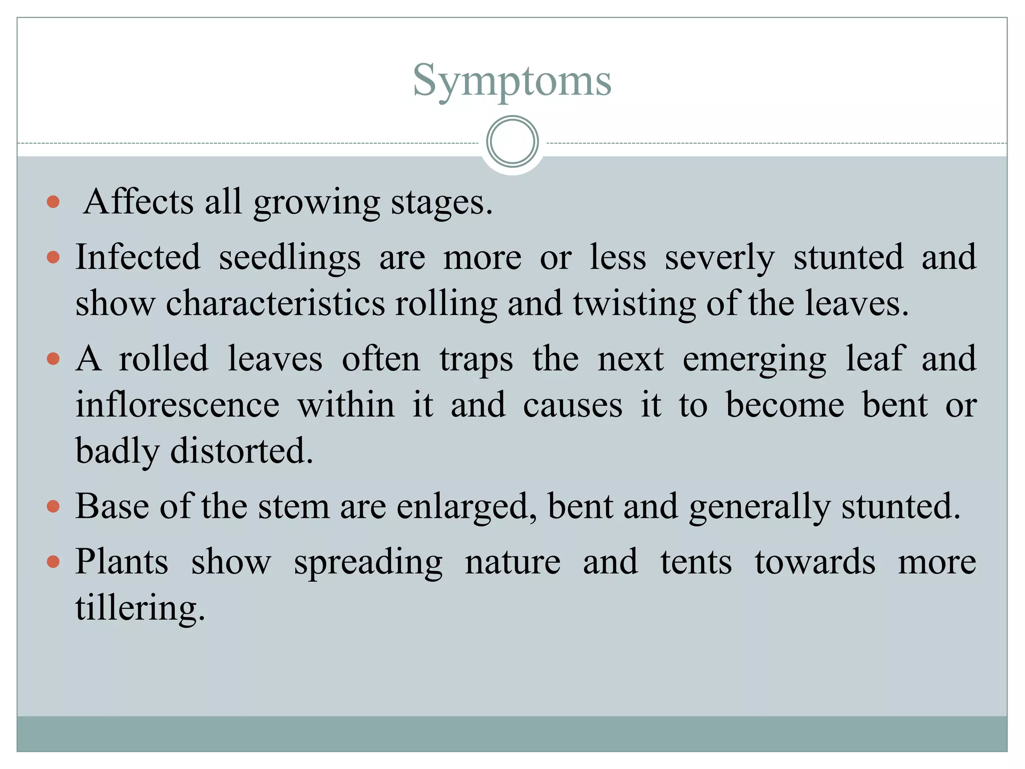 Ear cockle of wheat | PPTX