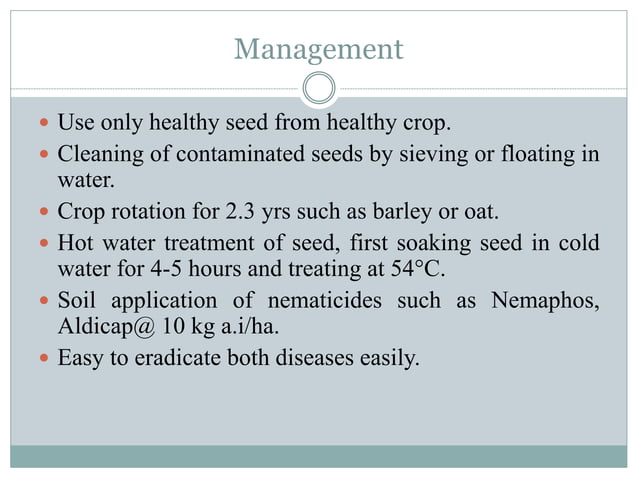 Ear cockle of wheat | PPTX