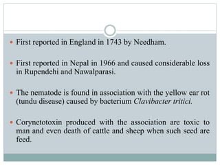 Ear cockle of wheat | PPTX