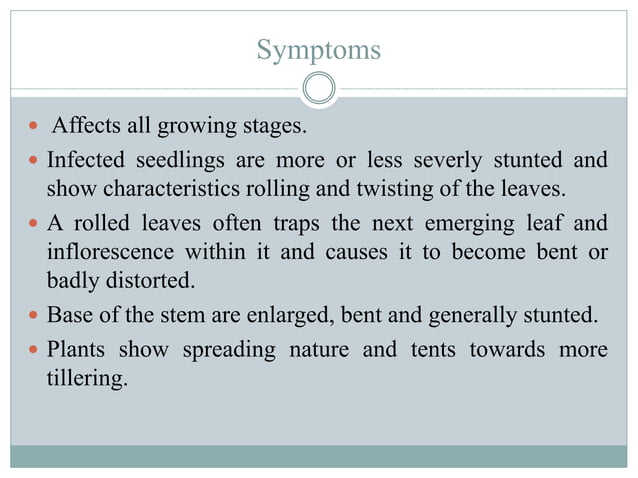 Ear cockle of wheat | PPTX
