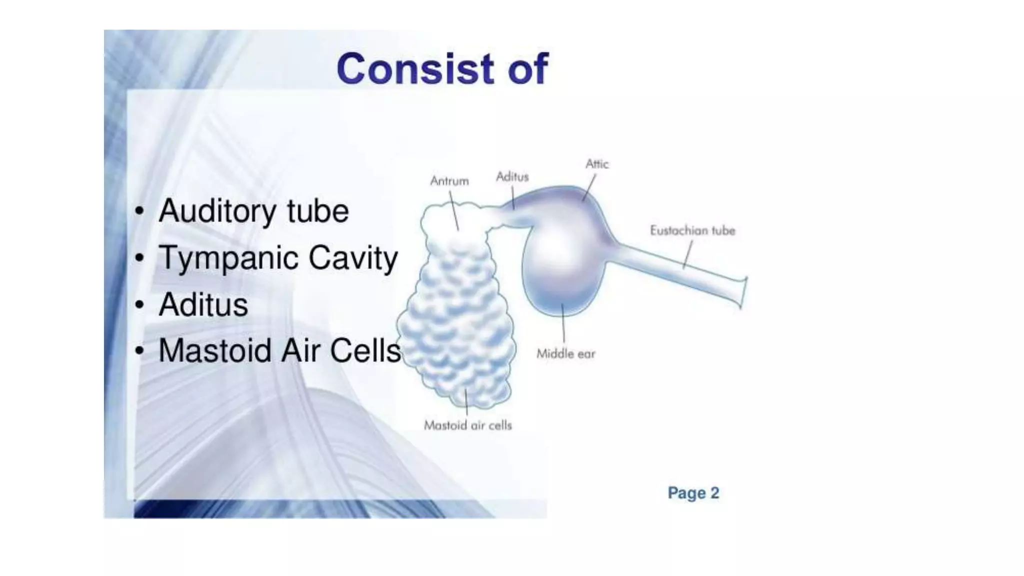 Ear demonstration | PPTX