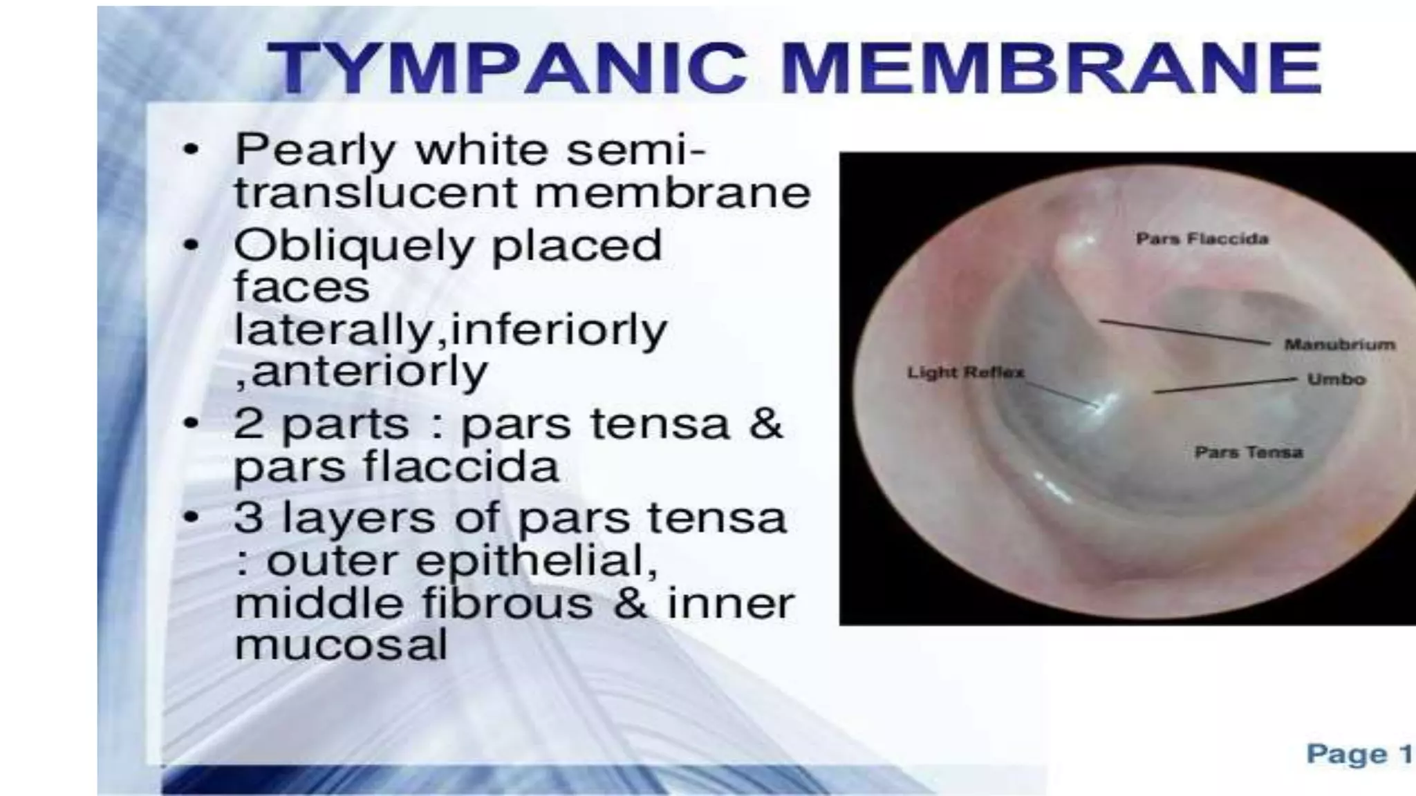 Ear demonstration | PPTX
