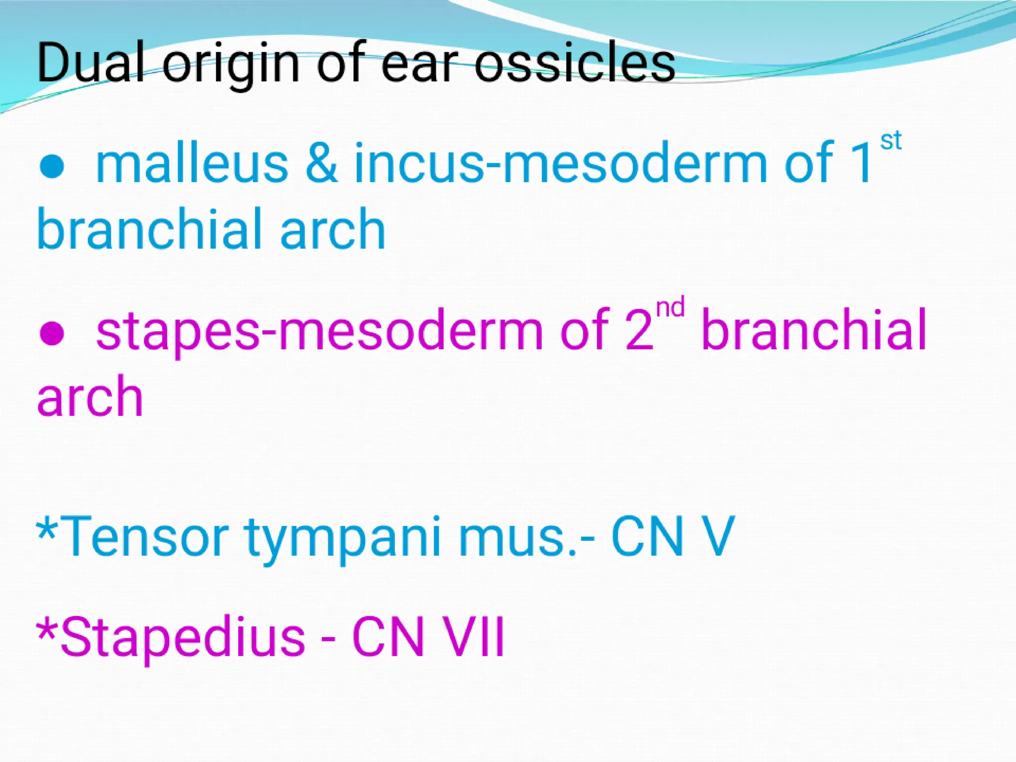 Ear development.pdf embryology of the human ear | PPT