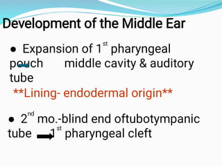 Ear development.pdf embryology of the human ear | PPT
