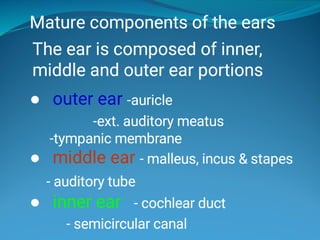 Ear development.pdf embryology of the human ear | PDF