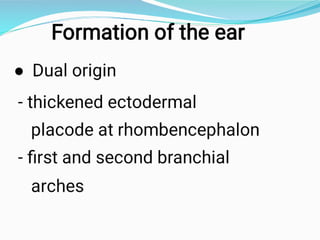 Ear development.pdf embryology of the human ear | PDF
