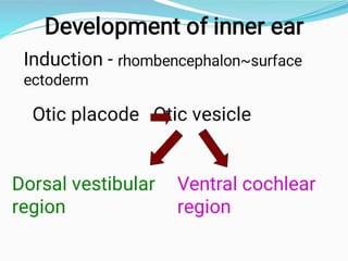 Ear development.pdf embryology of the human ear | PDF