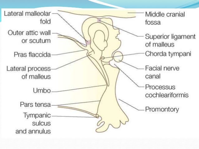 Ear discharge and otalgia