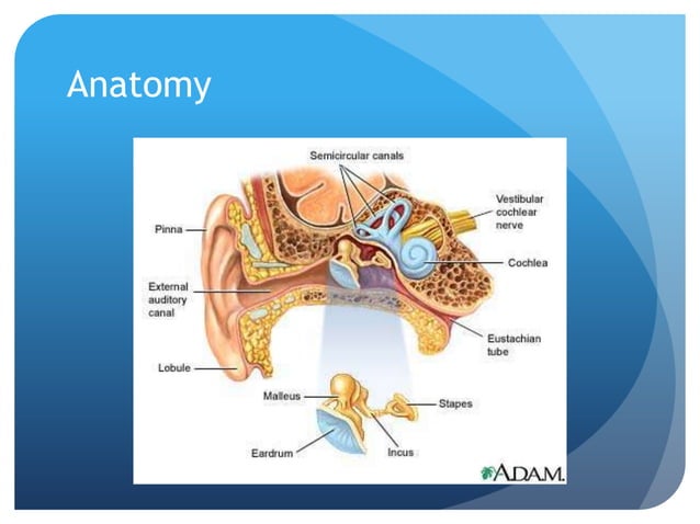 Ear disease presentation (manchester g ps) | PPTX | Ear, Nose and Throat Conditions | Diseases ...