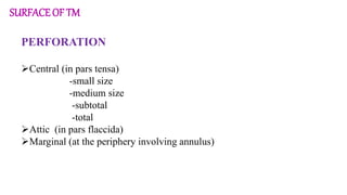 ear examination.pptx