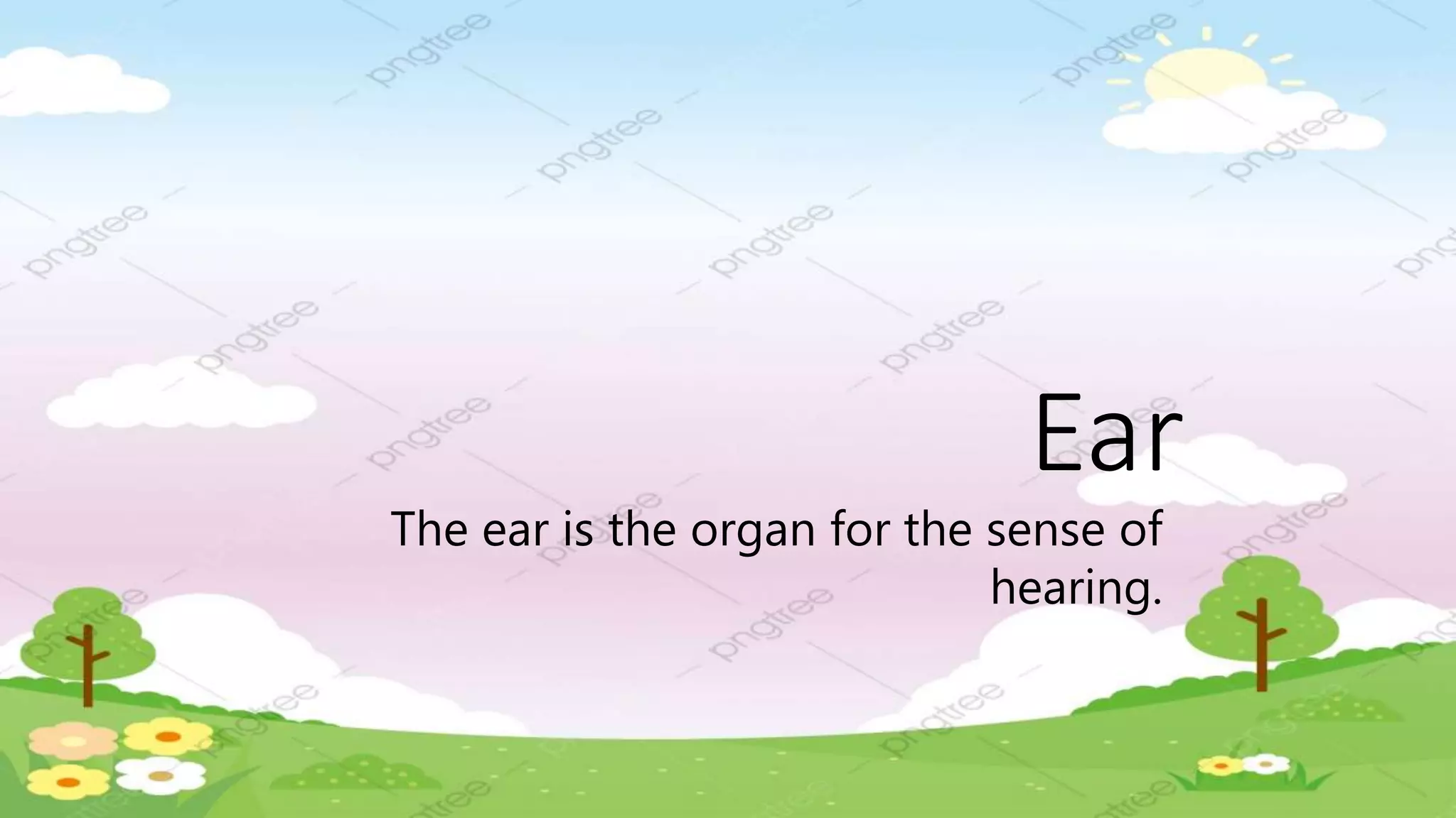 Sense Organ: Ear | PPTX