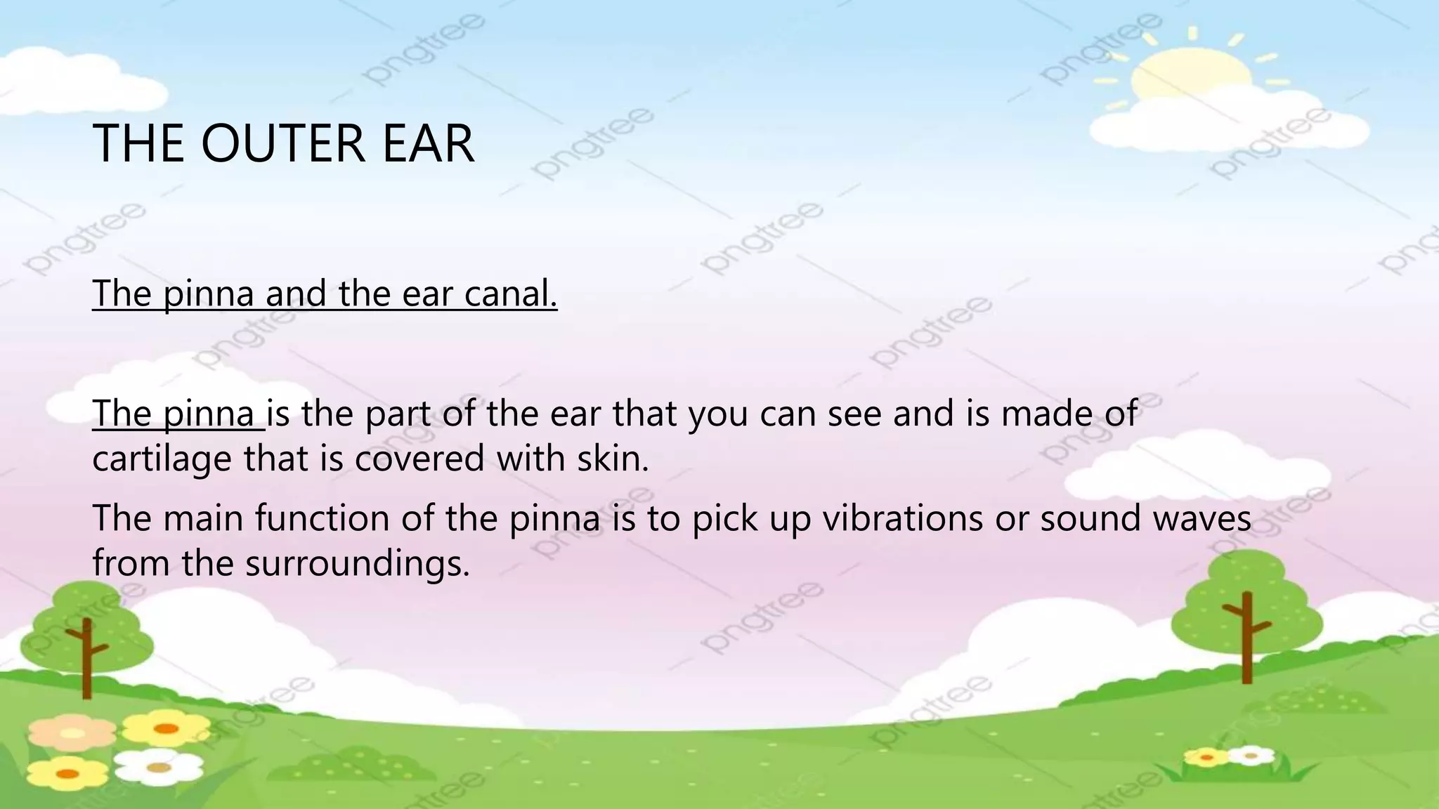 Sense Organ: Ear | PPTX