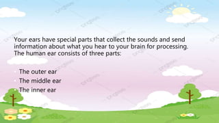 Sense Organ: Ear | PPTX