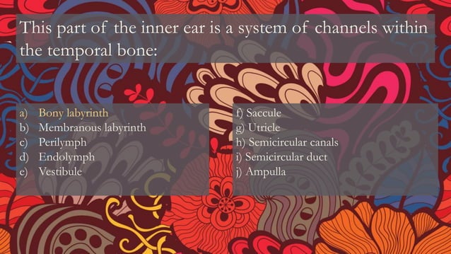 Hearing & the Ear | PPT