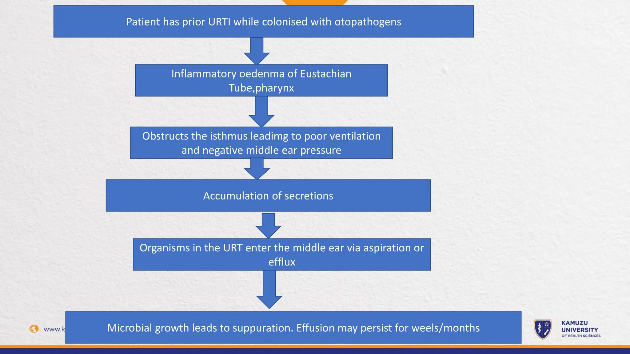 Ear Infections. Pdf by David kulapini from KUHeS | PDF