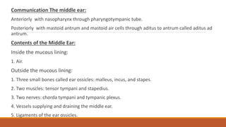 Anatomy of Ear | PPTX