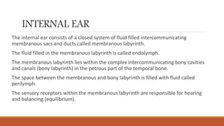 Anatomy of Ear | PPTX