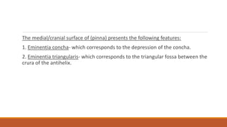 Anatomy of Ear | PPTX