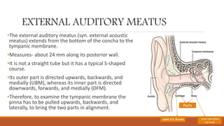 Anatomy of Ear | PPTX