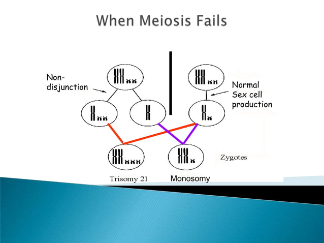 Earlier, accurate & non invasive the new trigene test in the clinical ...