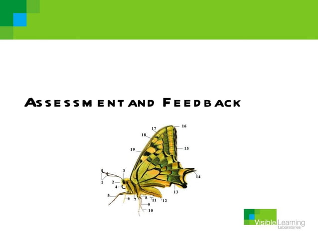 John Hattie: Effect Sizes on Achievement | PPT