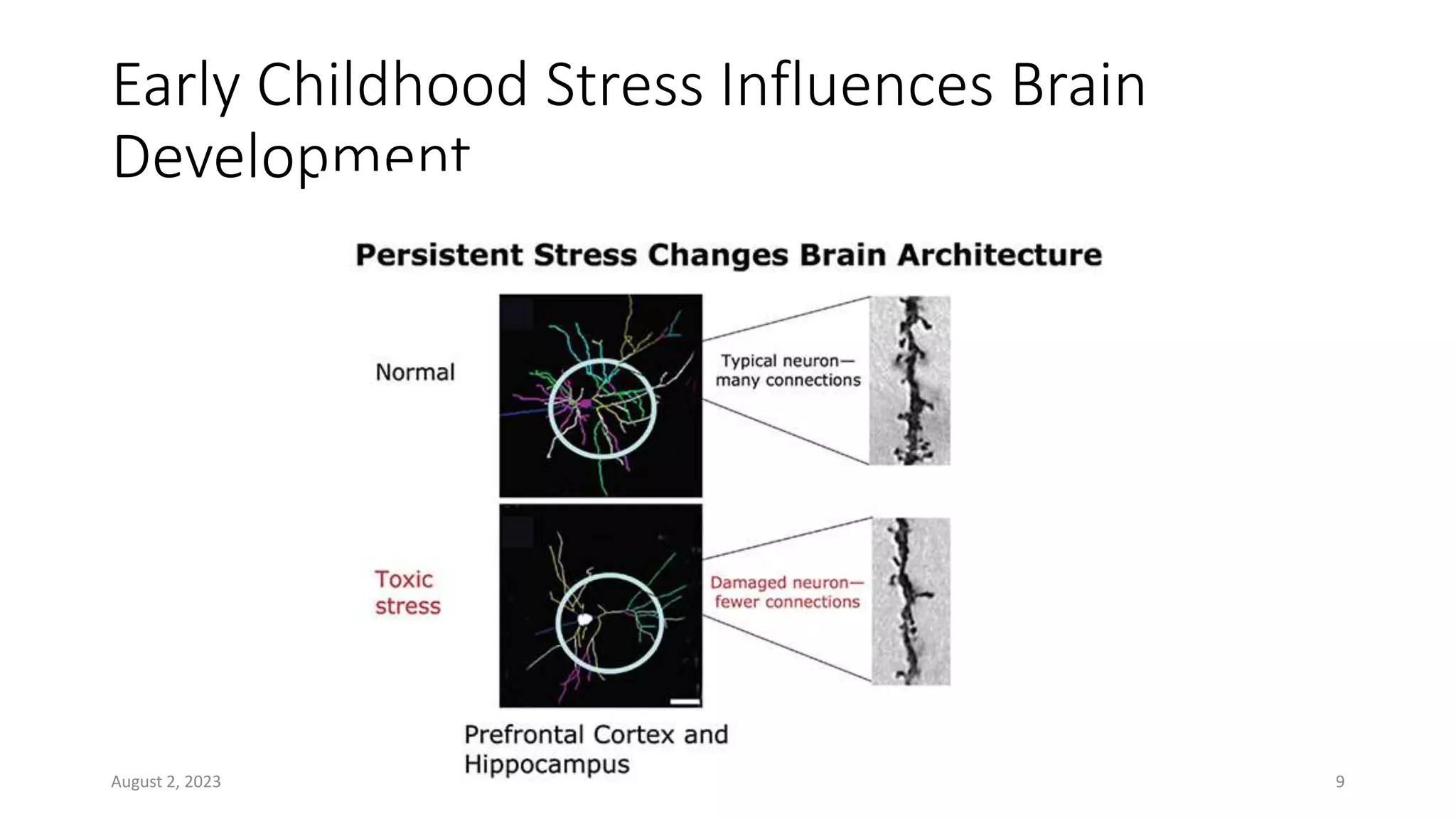 Early-Childhood-Development-An-Overview.pptx