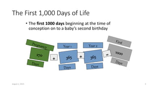 Early-Childhood-Development-An-Overview.pptx | Brain and Nervous System ...