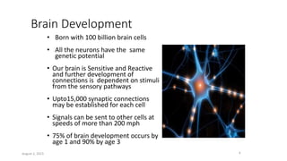 Early-Childhood-Development-An-Overview.pptx | Brain and Nervous System ...