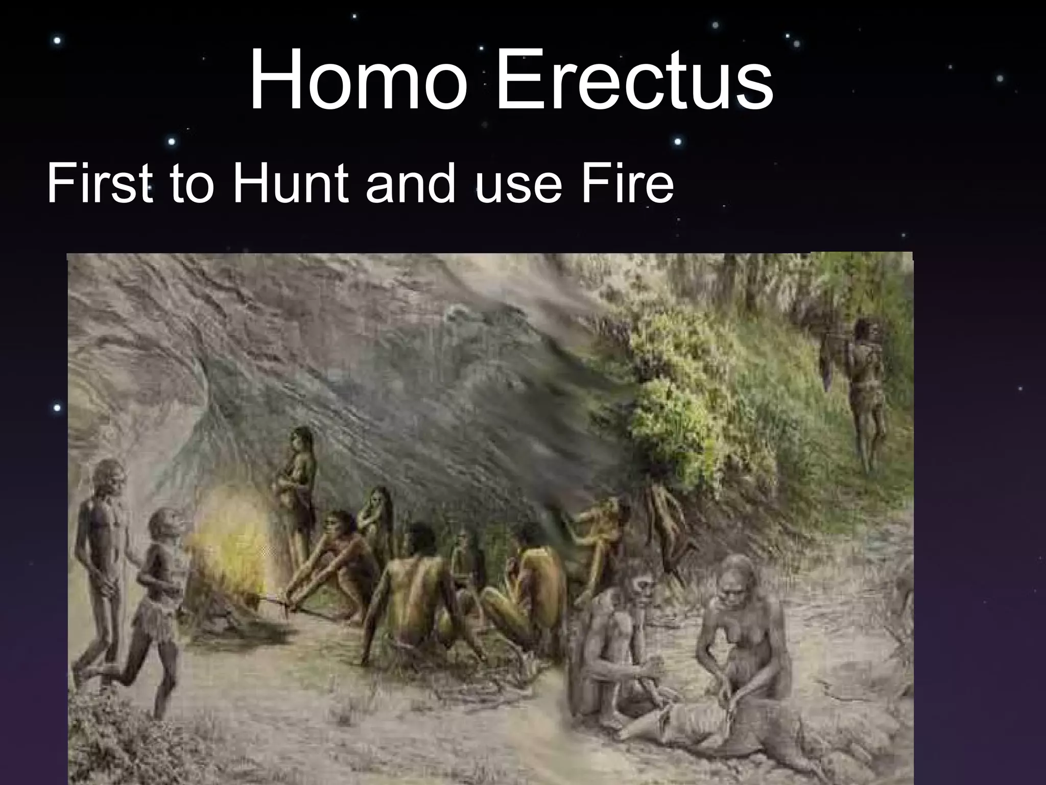 Homo Erectus Hunting