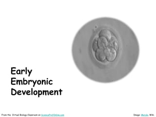 Early-Embryonic-Development-Lecture-PowerPoint-VBC.ppsx