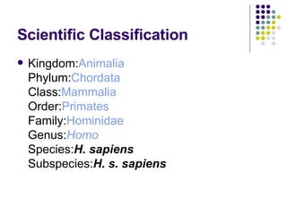 Early Human Notes | PPT