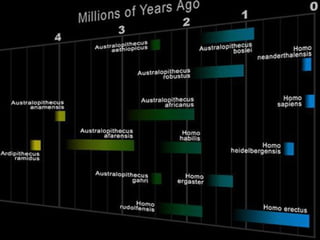 Early Human Notes | PPT