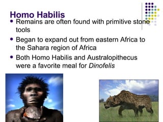 Early Human Notes | PPT