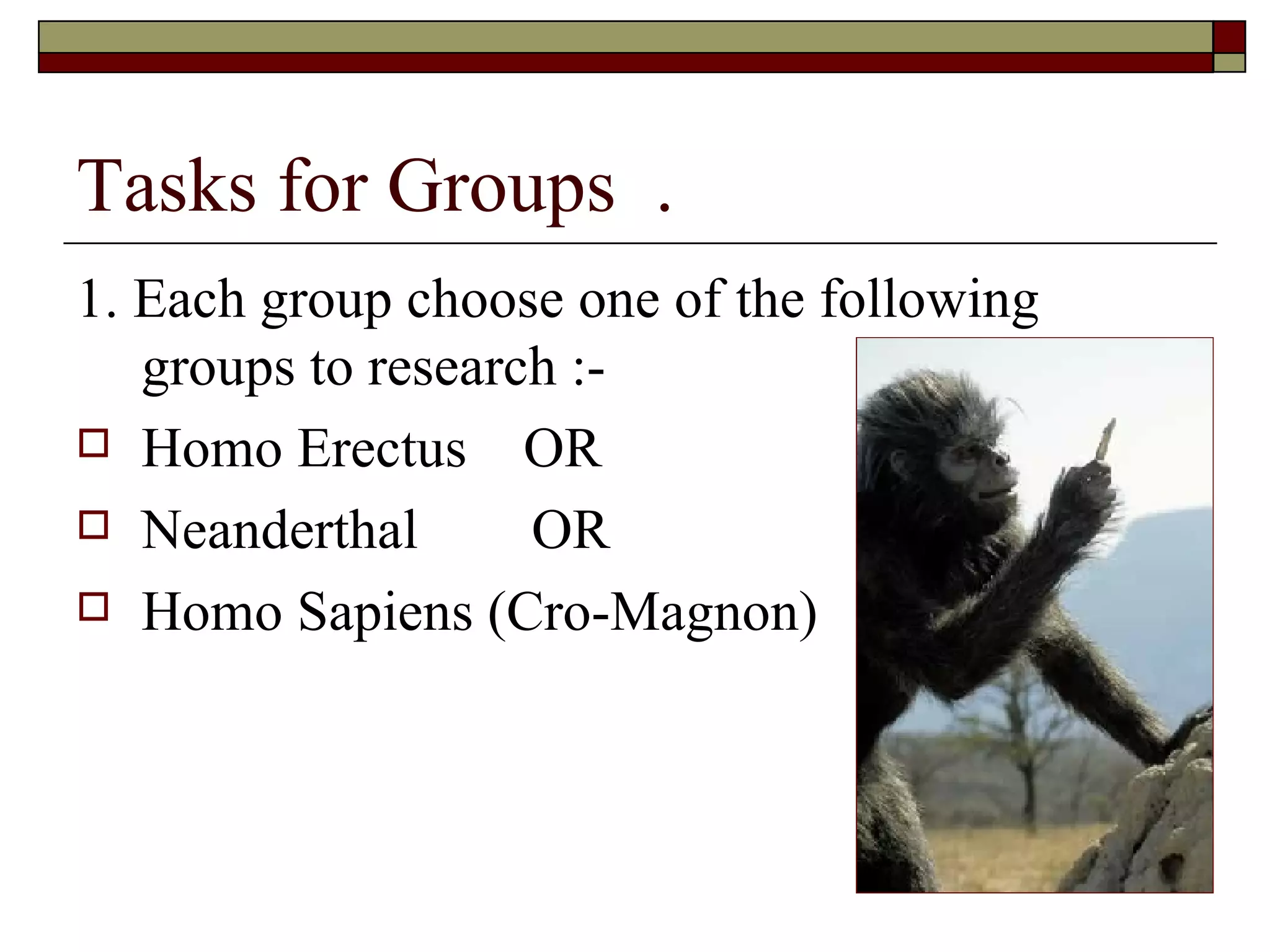 Early Humans Museum Activity | PPT | Science