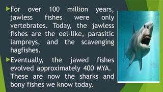 EARLY-LIFE-FORMS EARTH AND LIFE SCIENCE_1.pptx