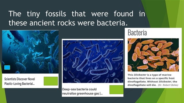 EARLY-LIFE-FORMS EARTH AND LIFE SCIENCE_1.pptx