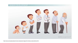 Early Adulthood Physical Maturation and Aging Process_Wahyu_Hanze Class.pdf