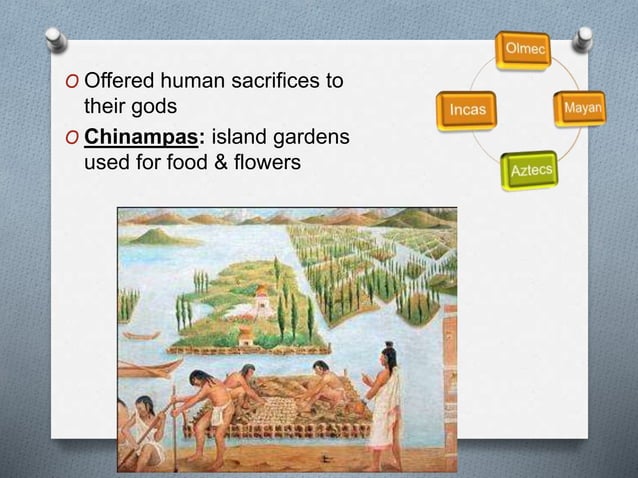 Early american civilizations | PPTX | South America Travel | Travel ...