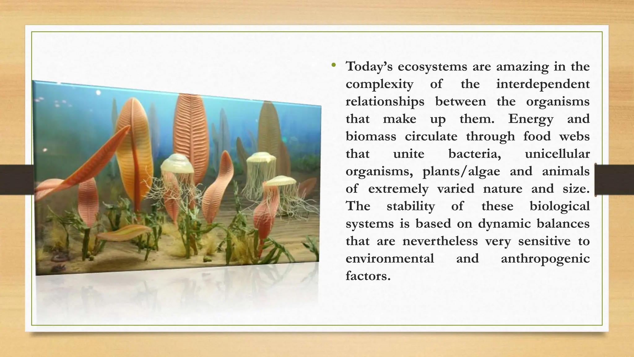 Early Aquatic and Terrestrial ecosystem.pptx