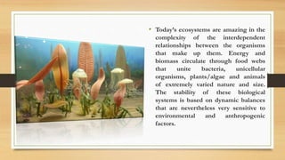 Early Aquatic and Terrestrial ecosystem.pptx