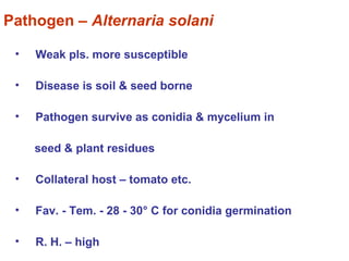 Early blight of potato | PPT