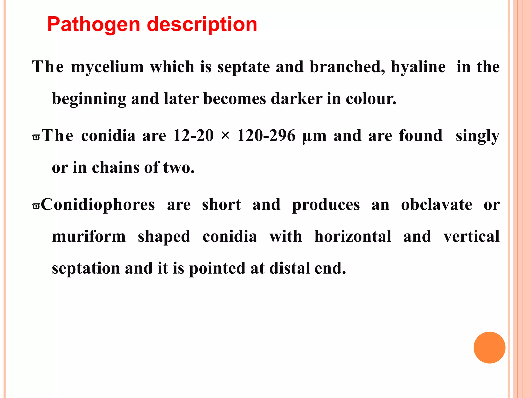 Early blight of tomato | PPTX