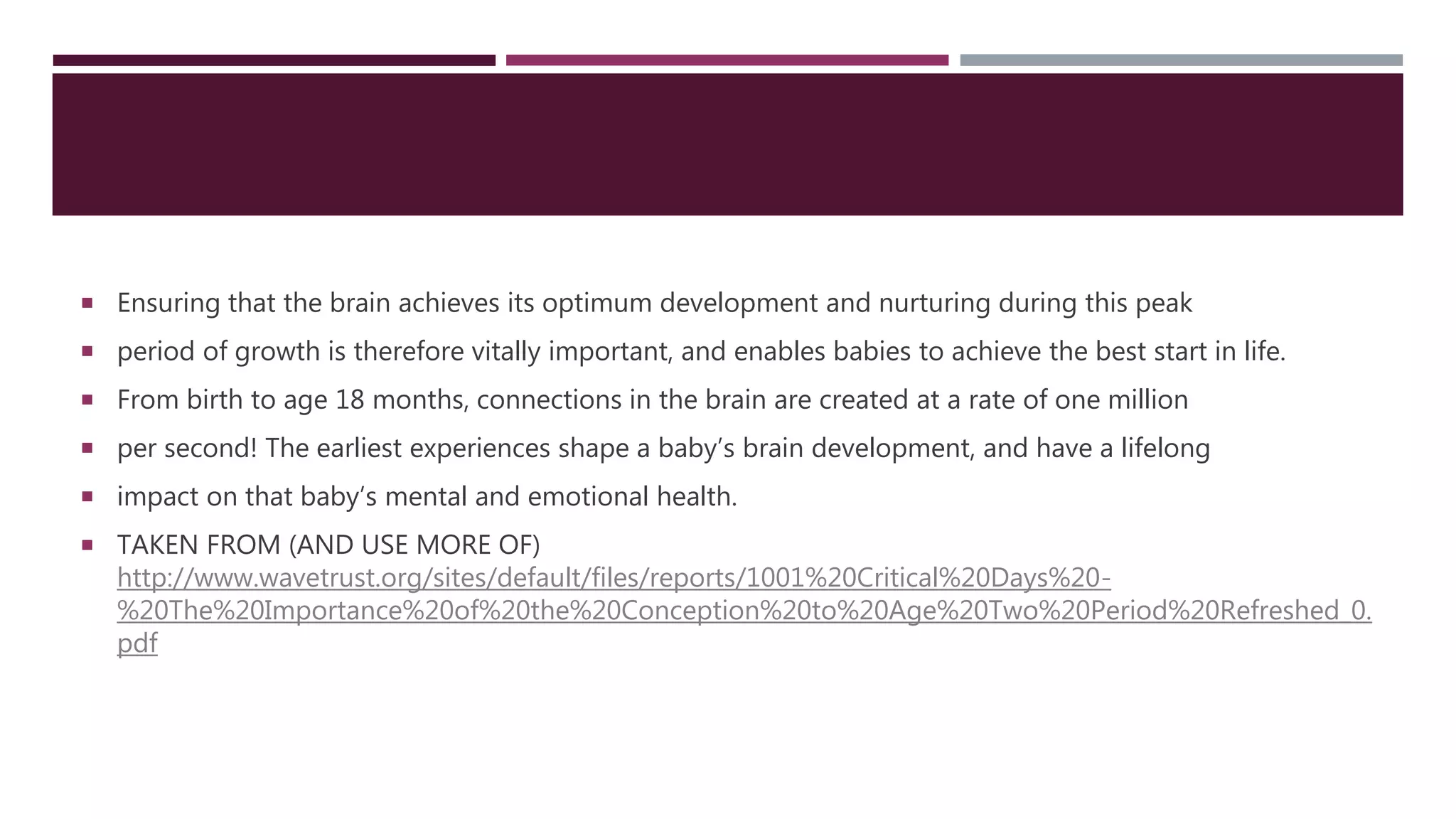 Early brain development | PPTX