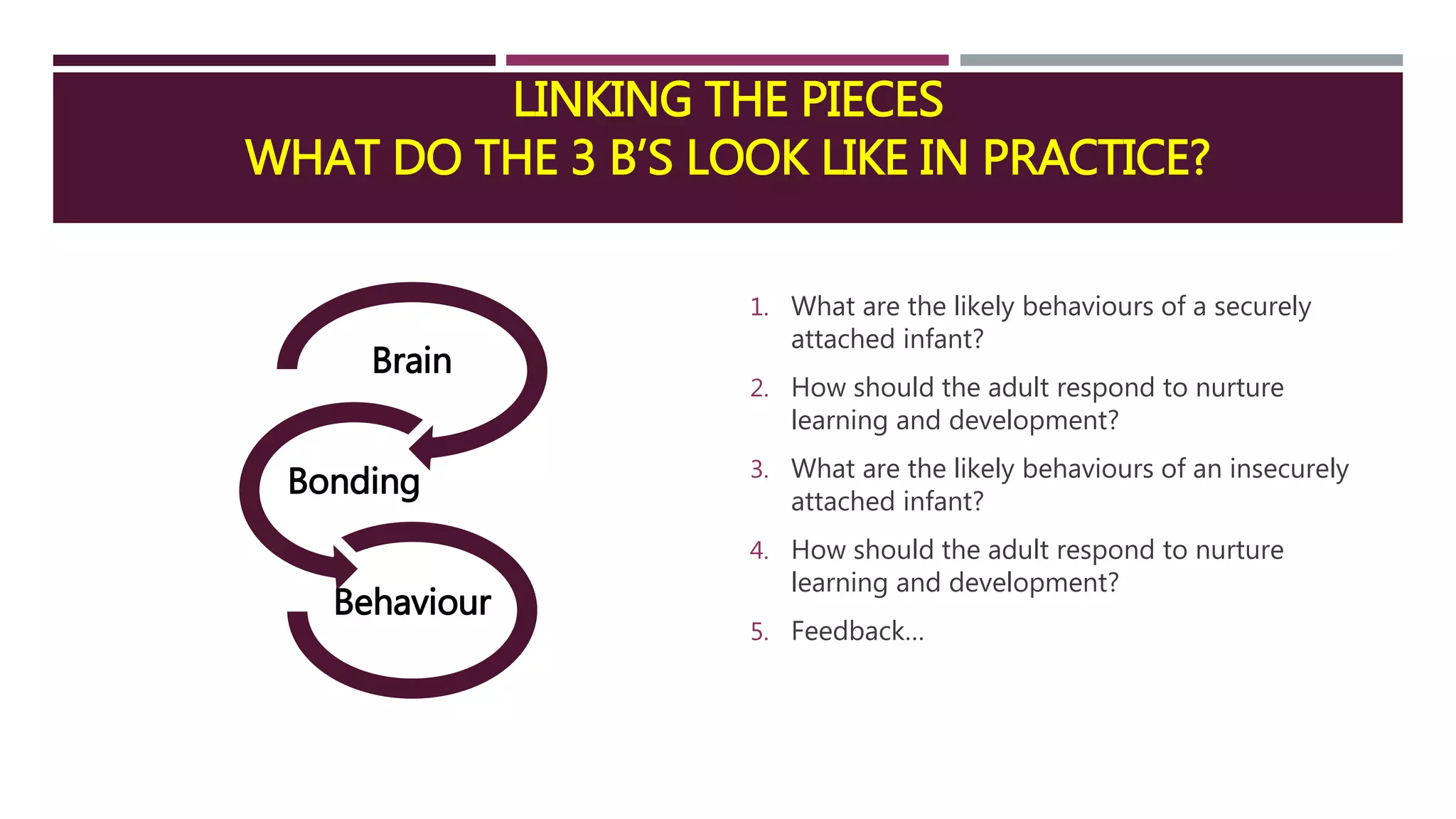 Early brain development | PPTX