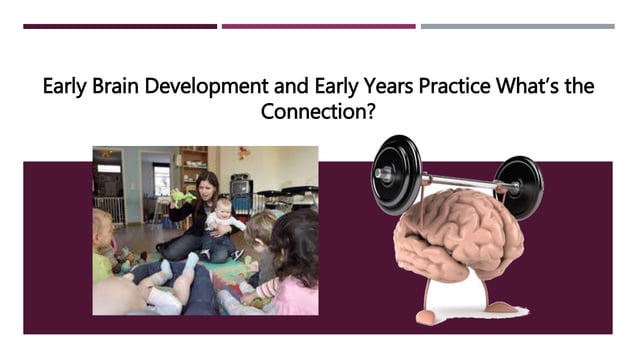Early brain development | PPTX