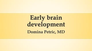 Early brain development part one | PPSX