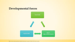 Early brain development part one | PPSX